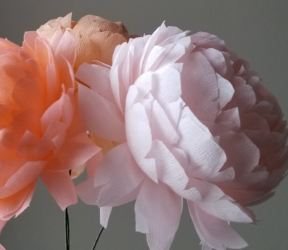 Crepe Paper Peony/Peonies Tutorial