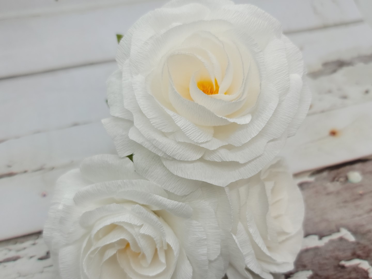Crepe Paper Garden Rose